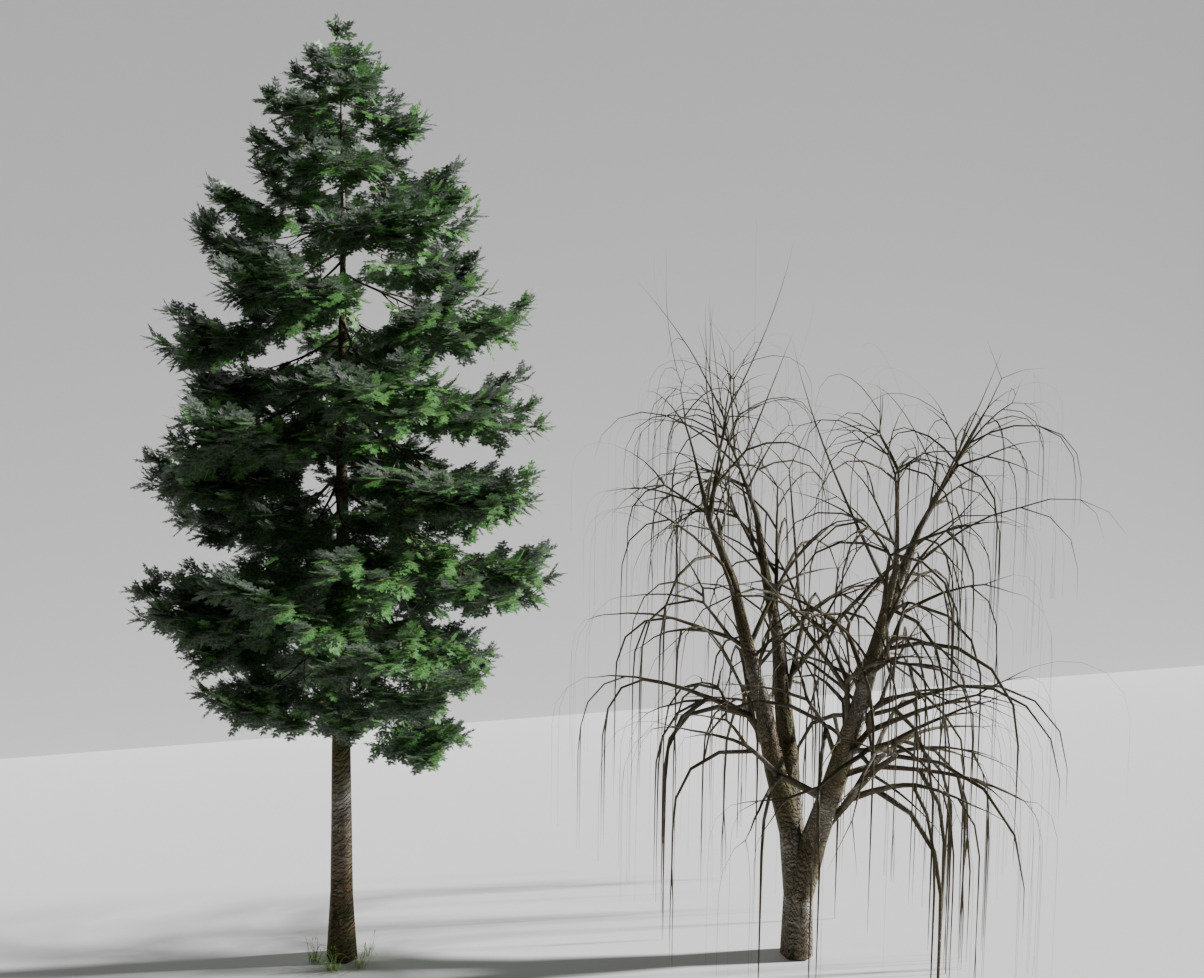 Realistic tree 3d model high poly 3D model | CGTrader