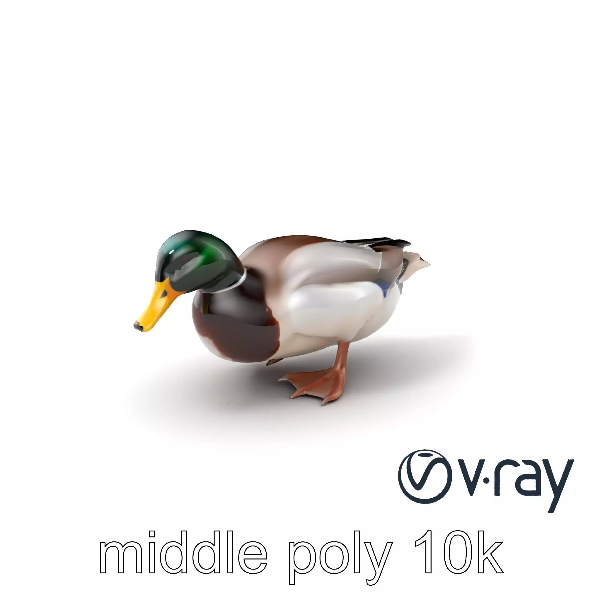 3D model Mallard Duck Realistic Pose model pack VR / AR / low-poly ...
