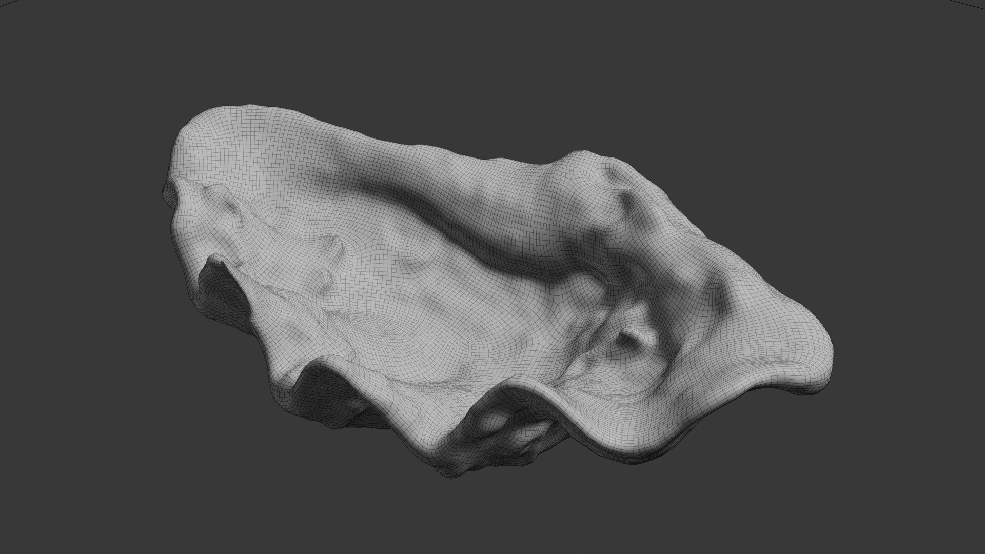 Giant fluted clam shell 3D model | CGTrader