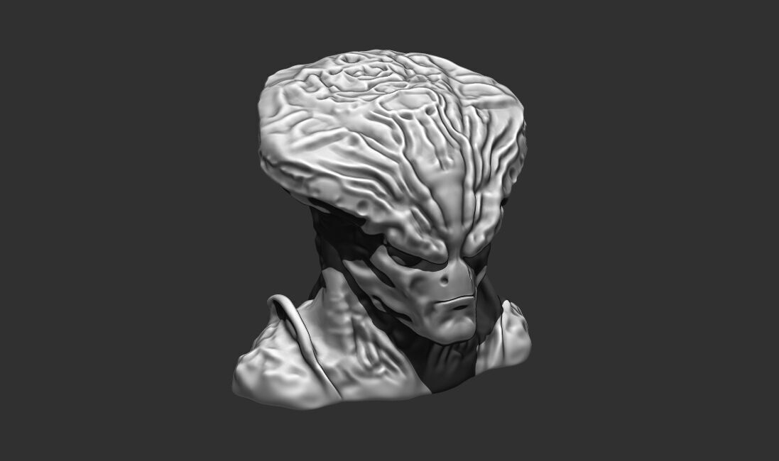 Alien Bust 11 -STL File for 3D Printer - Sci-Fi Decor 3D model 3D ...