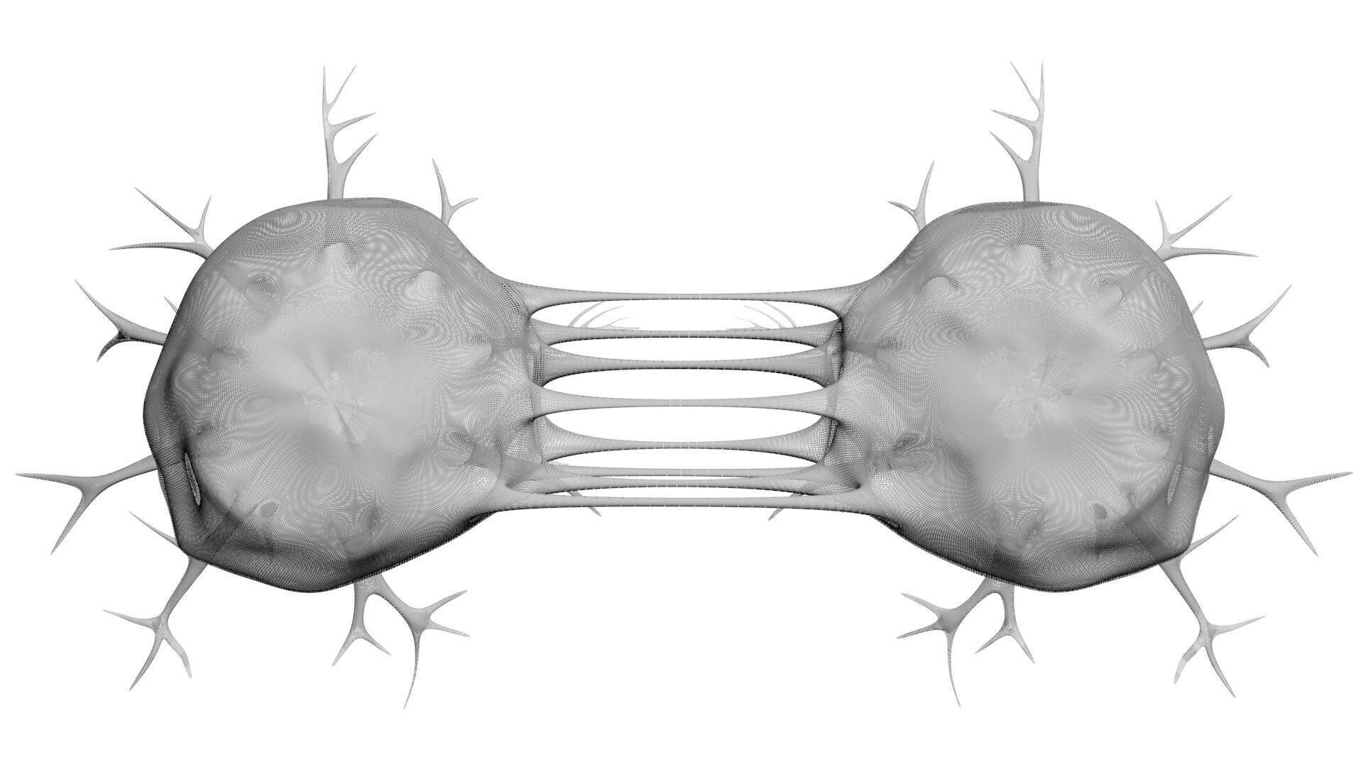 Cancer Cell Dividing 3D model | CGTrader