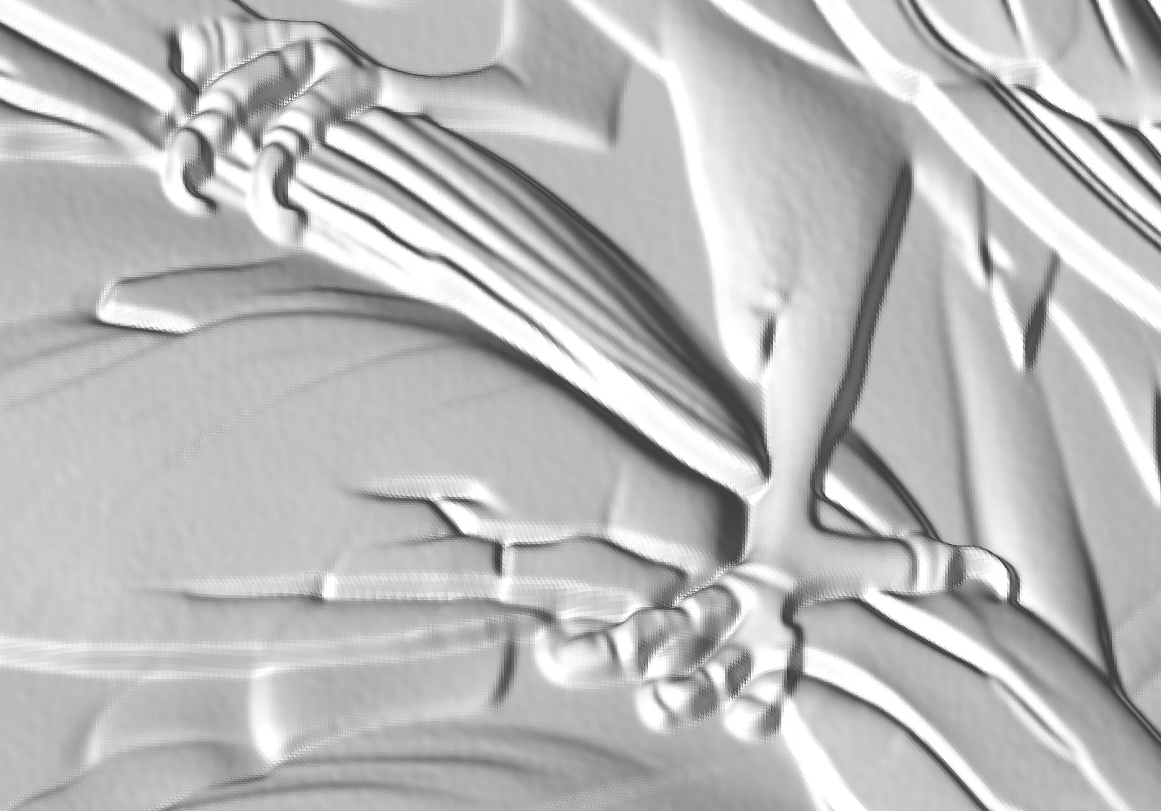 Parrot Relief 3D STL Model for CNC 3D Printing Bird Wall Decor 3D model ...