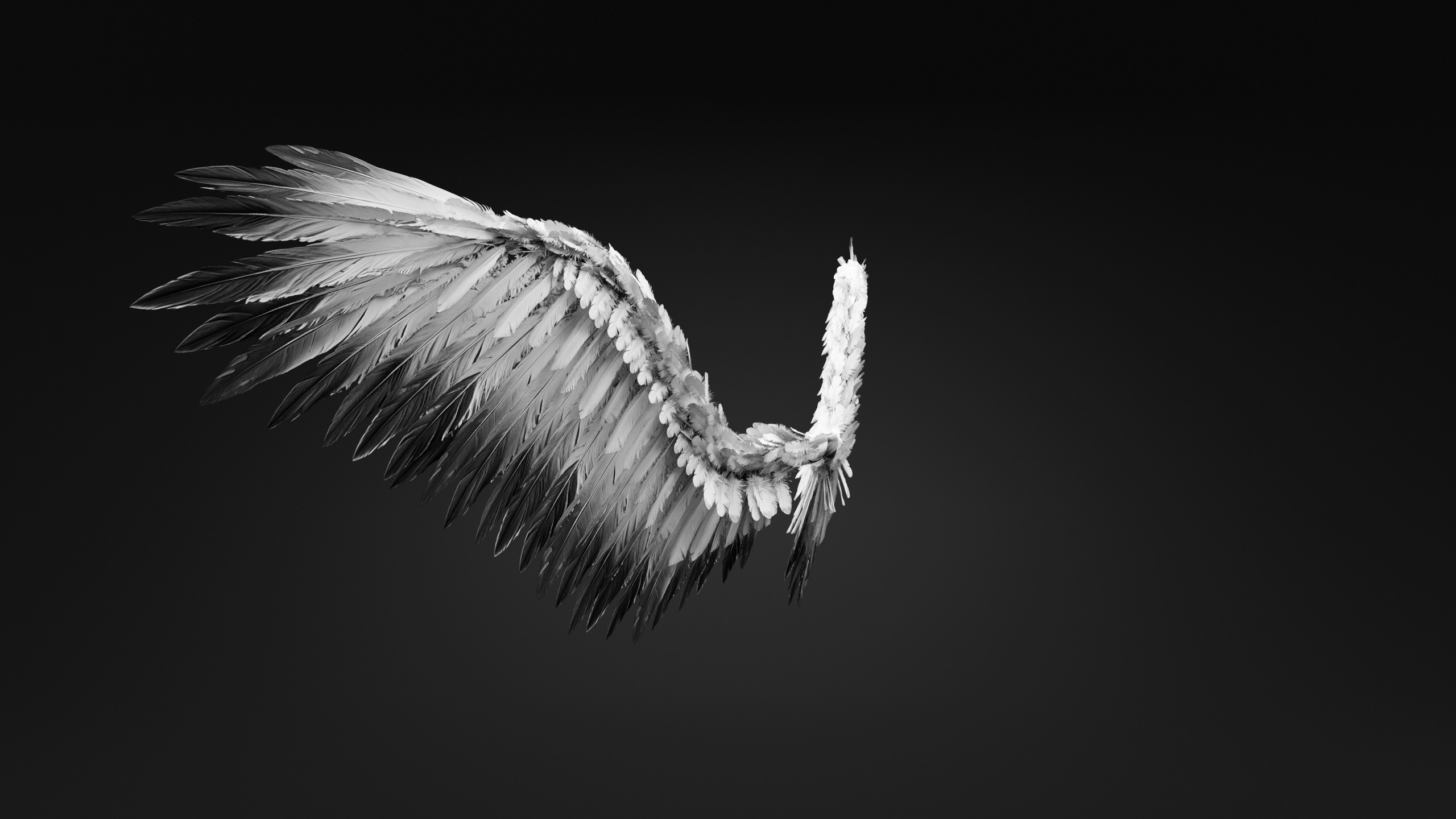 3D model Animated Lowpoly Wings VR / AR / low-poly | CGTrader