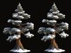 Winter Tree 0 free VR / AR / low-poly 3D model | CGTrader