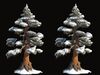 Winter Tree 0 free VR / AR / low-poly 3D model | CGTrader