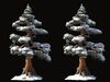 Winter Tree 0 free VR / AR / low-poly 3D model | CGTrader