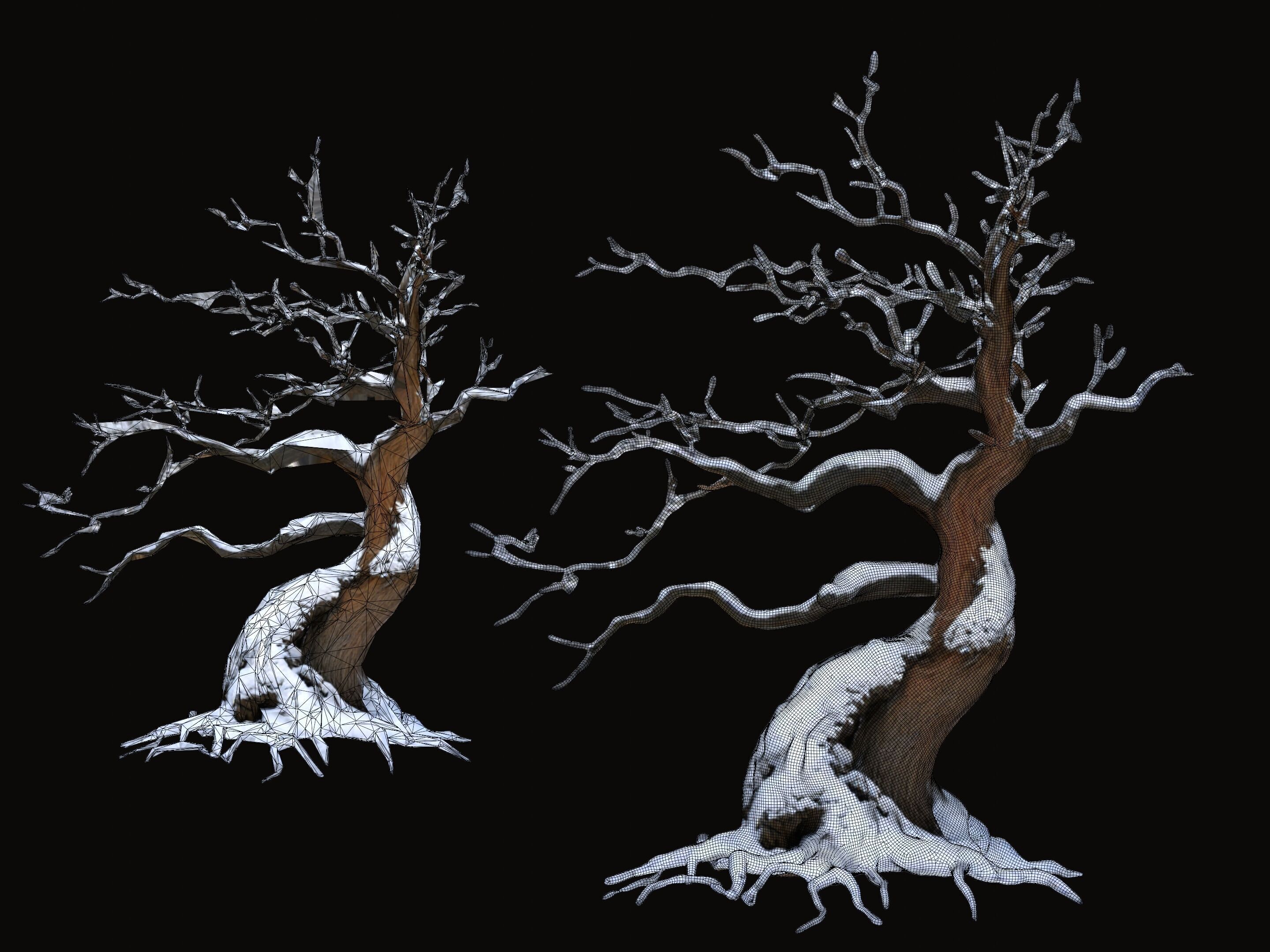 Winter Tree 2 free VR / AR / low-poly 3D model | CGTrader
