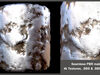 Texture Silver Nugget Substance PBR material and textures VR / AR / low ...