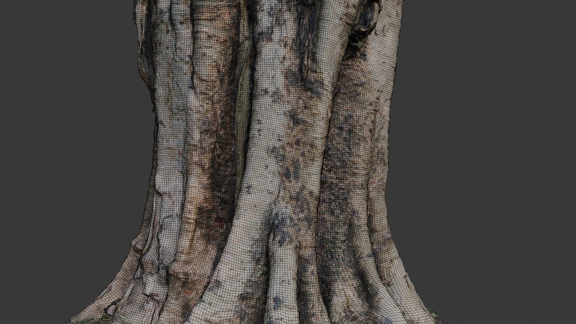 3D model Ancient Banyan Tree Trunk scan VR / AR / low-poly | CGTrader