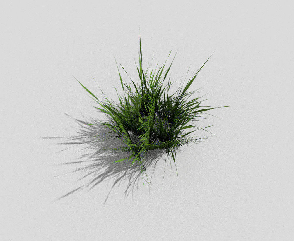 3D model low poly grass VR / AR / low-poly | CGTrader