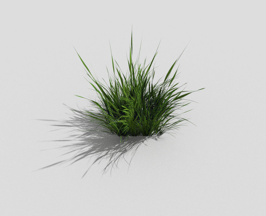 3D model low poly grass VR / AR / low-poly | CGTrader