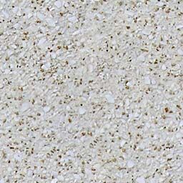 Wall Cross Section Insulation-Park wall detail-12 3D model animated ...