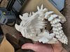 Monster Hunter Wilds - Flexi Arkveld 3D model 3D printable | CGTrader