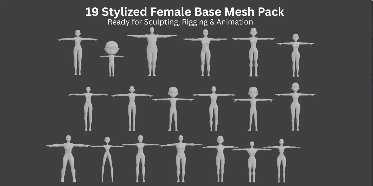 19 Stylized Female Base Mesh Pack 3D model | CGTrader