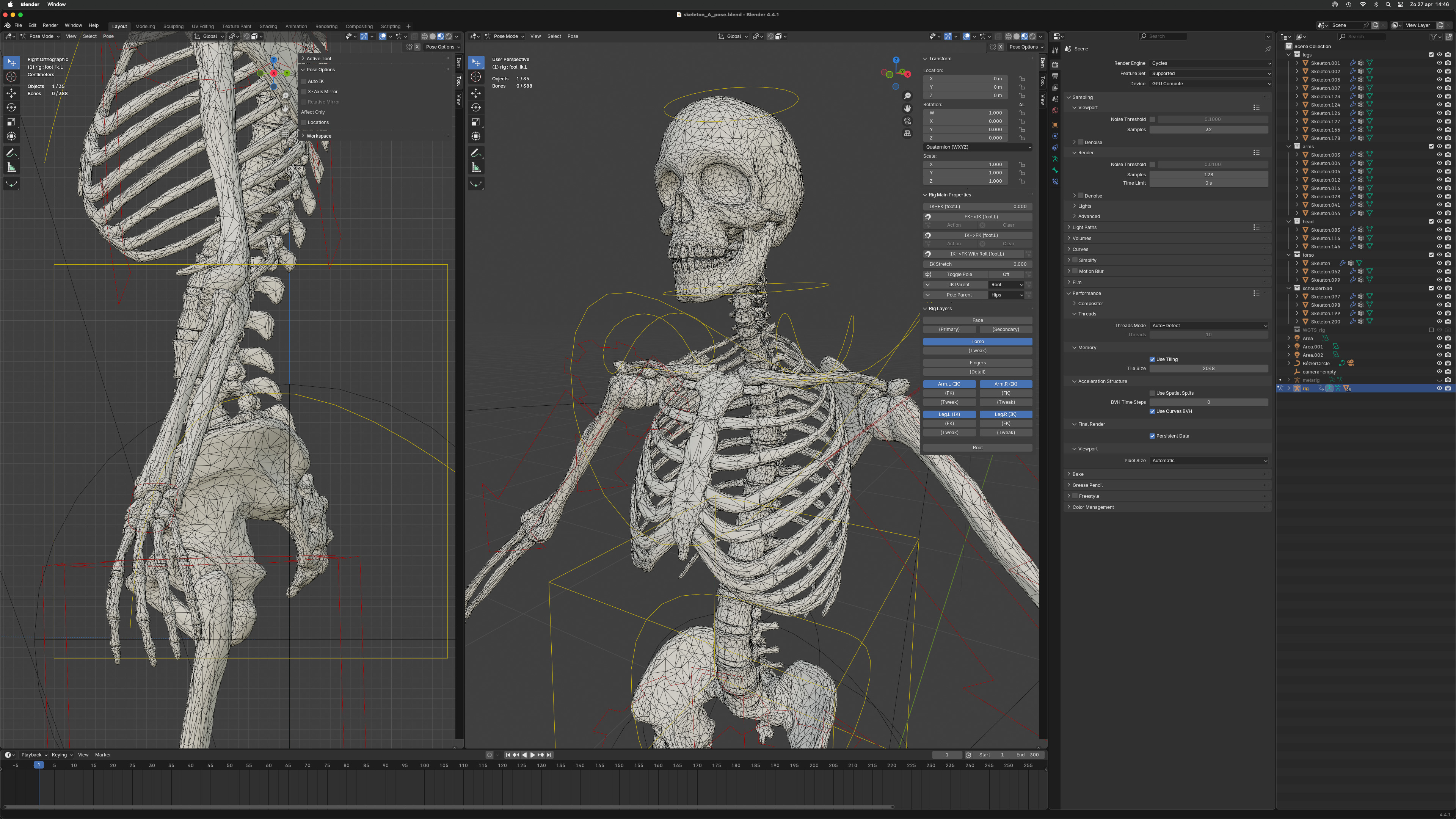 Skeleton free 3D model animated rigged | CGTrader