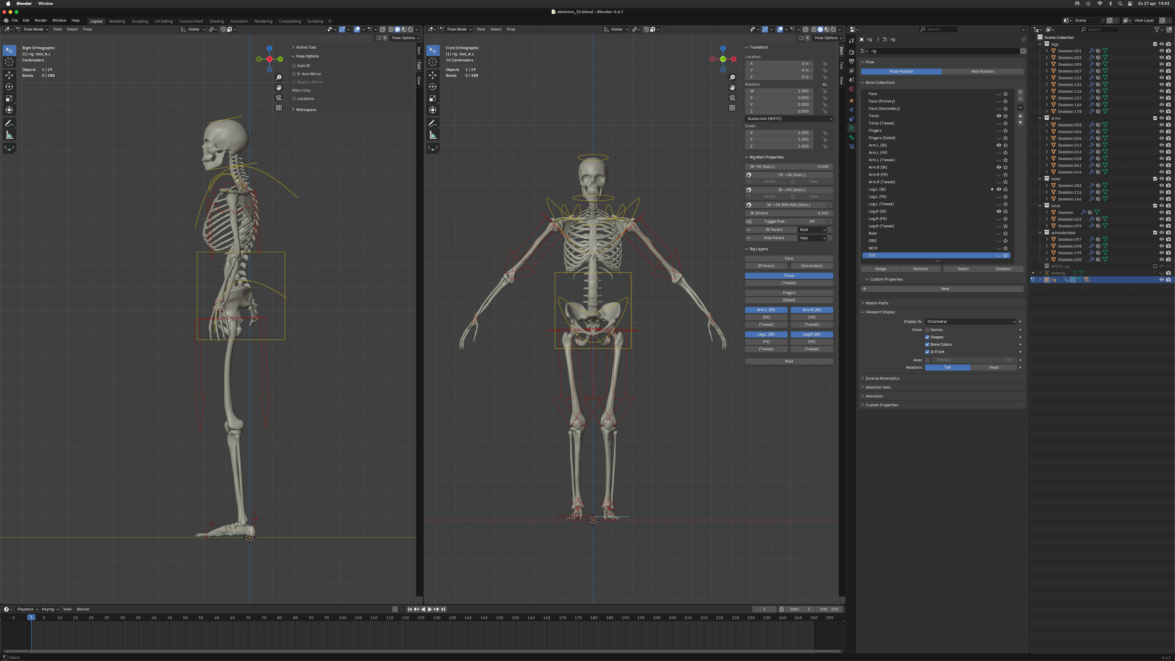 Skeleton free 3D model animated rigged | CGTrader