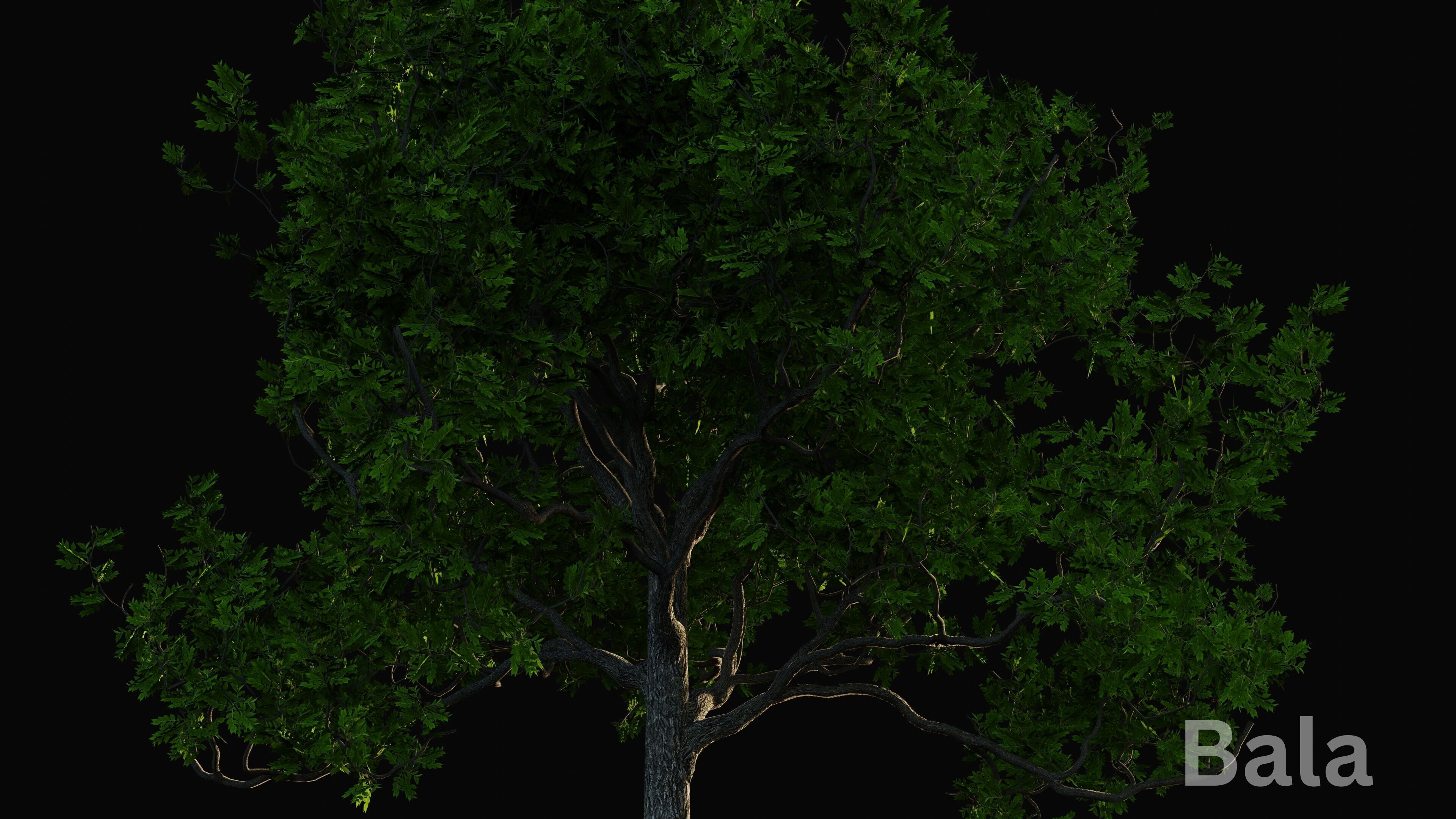 Grovescape - Free Forest Generator for Blender free 3D model | CGTrader