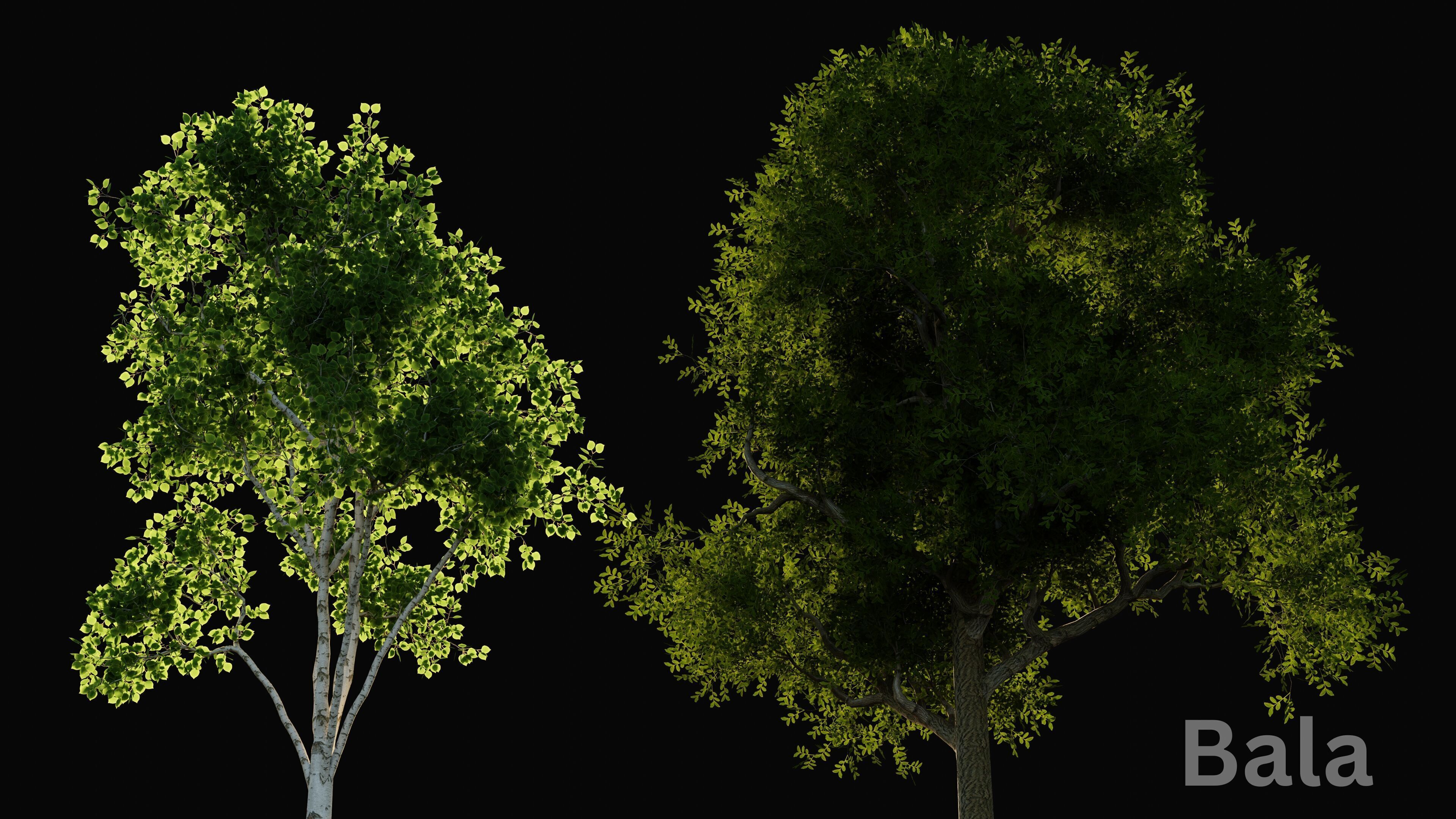 Grovescape - Free Forest Generator for Blender free 3D model | CGTrader