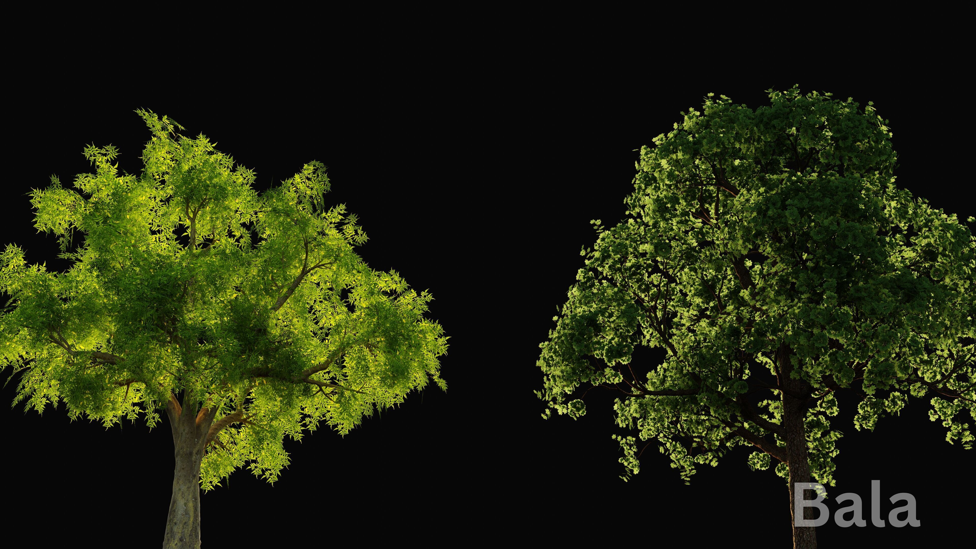 Grovescape - Free Forest Generator for Blender free 3D model | CGTrader
