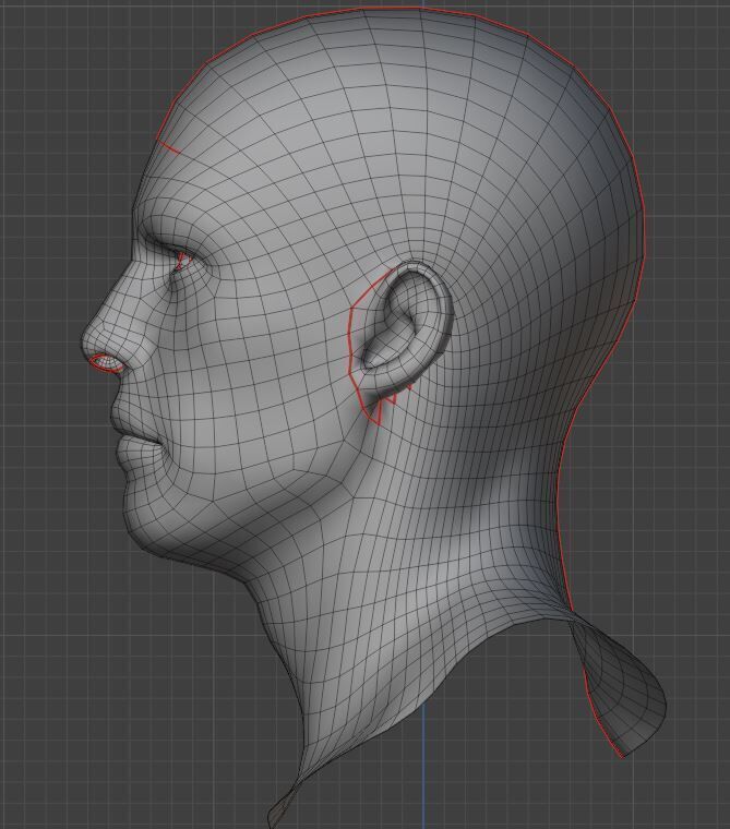 Base Head - Realistic - Male- Low-poly 3D model and HighPoly free VR ...