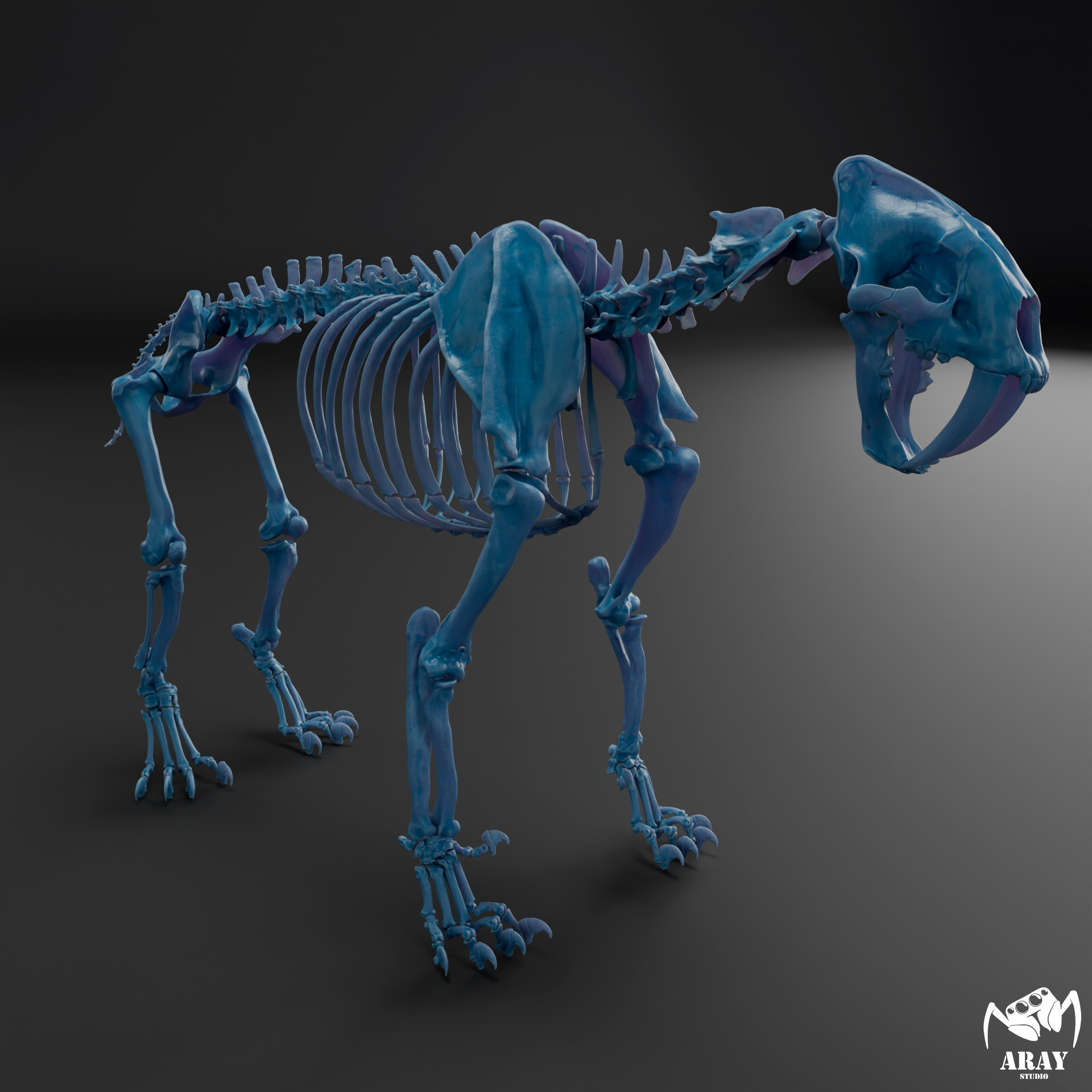 Smilodon populator - sabertooth skeleton 3D model 3D printable | CGTrader