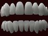Ultra-Detailed Anatomically Correct Human Teeth Set 3D model 3D ...