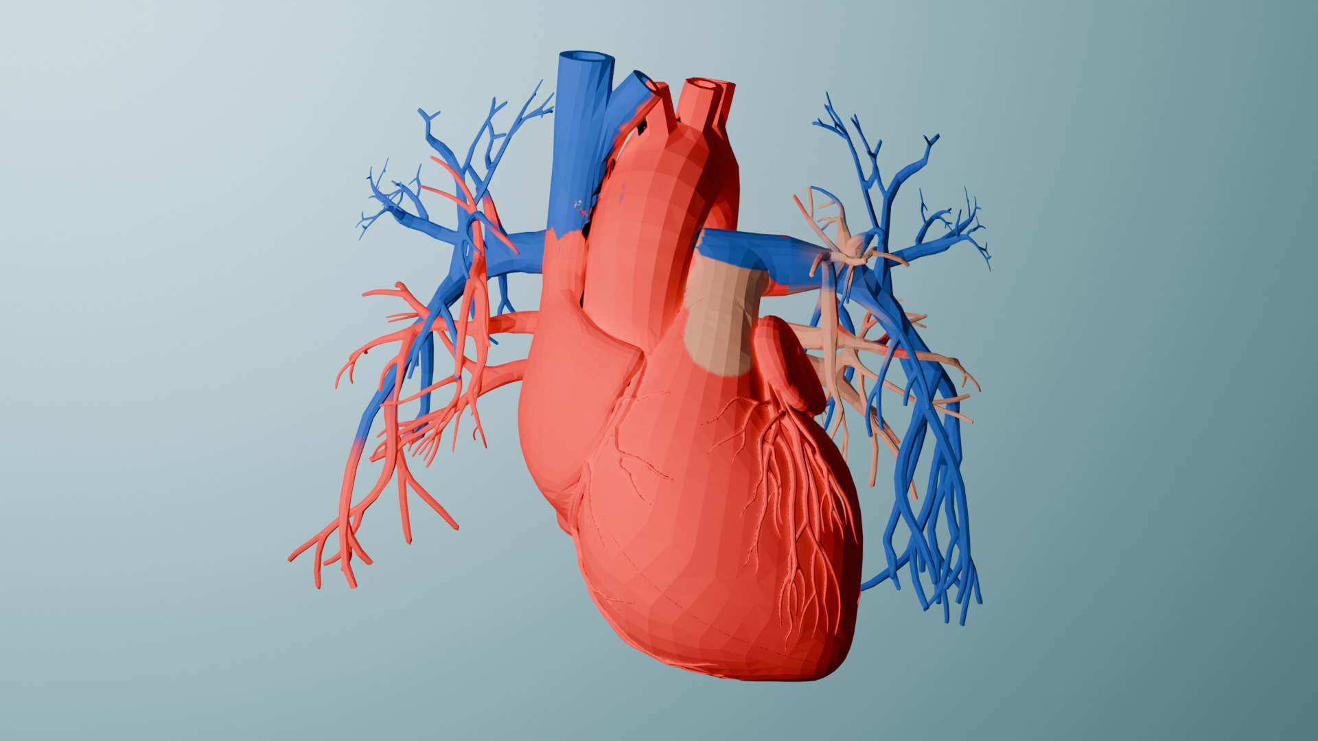Realistic Human Heart 3D printable 3D model 3D printable | CGTrader