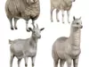 Farm animals 1 3D model | CGTrader