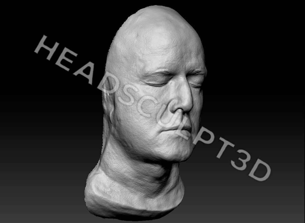 Marlon Brando Lifecast 3D Head Likeness The Godfather 3D model | CGTrader