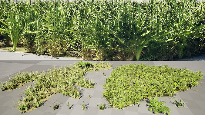 3D model Realistic Grass Meadow and Clumps VR / AR / low-poly | CGTrader