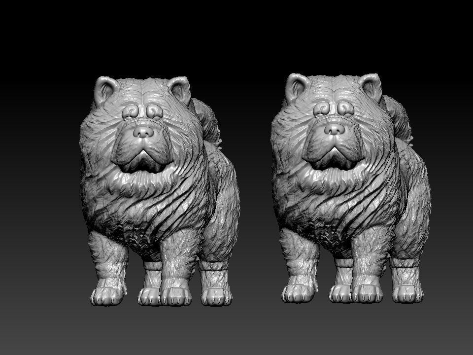 Chow Chow Dog model - Chow Dog statue - 3D print 3D model 3D printable ...
