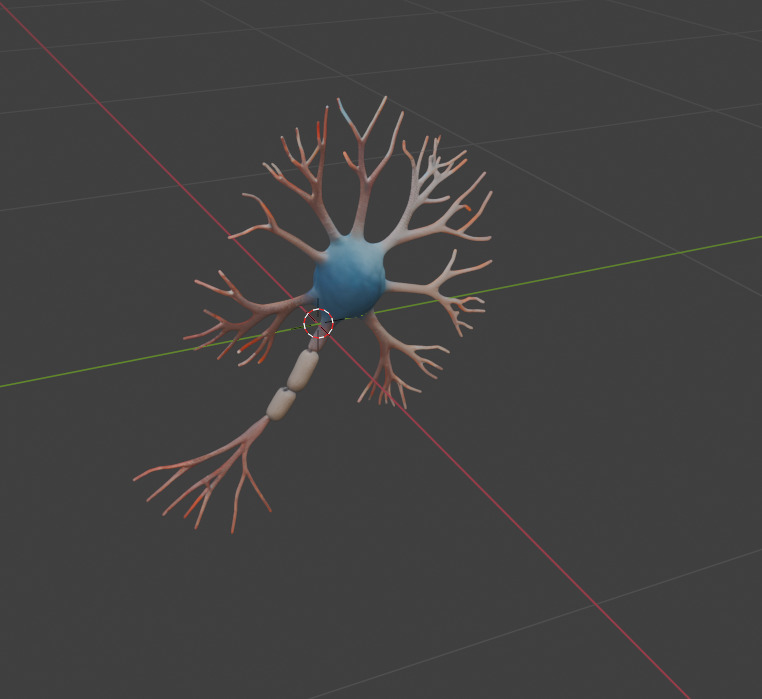 Human Neuron Nerve Cell - 3D Model 3D printing ready 3D model 3D ...