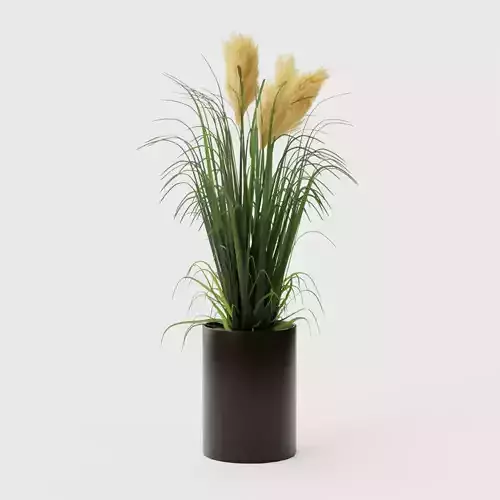 Faux Pampas Grass Amber Stem 3D model | CGTrader