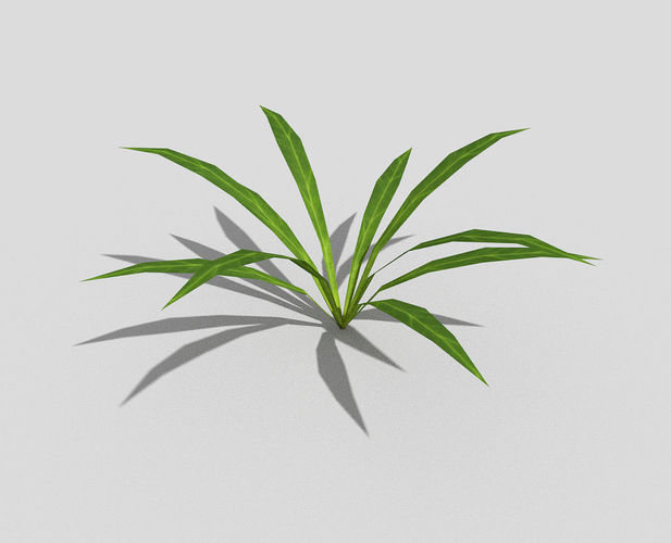 3D model Low poly Plant VR / AR / low-poly | CGTrader