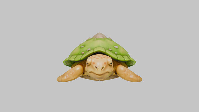 3D model Island Turtle VR / AR / low-poly | CGTrader