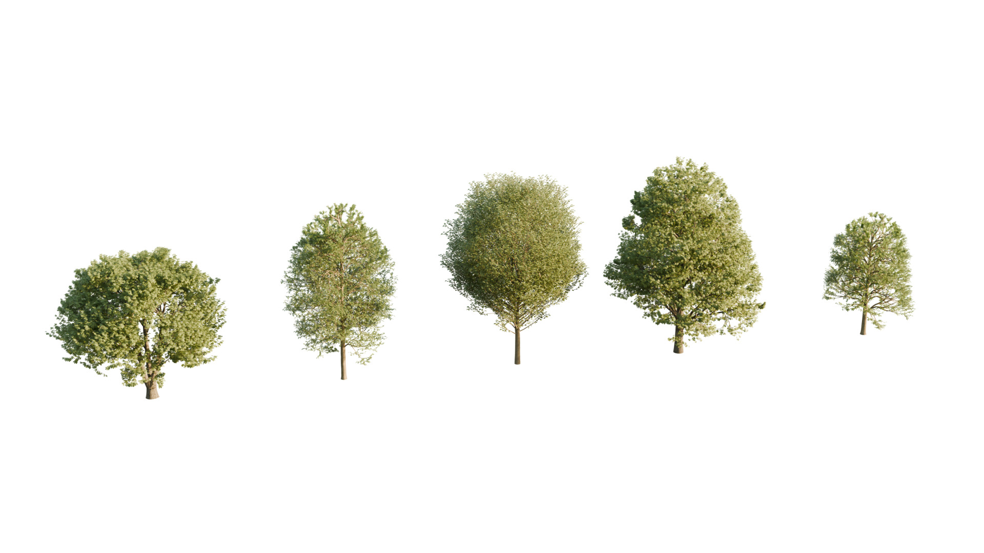 Free Tree pack free VR / AR / low-poly 3D model | CGTrader