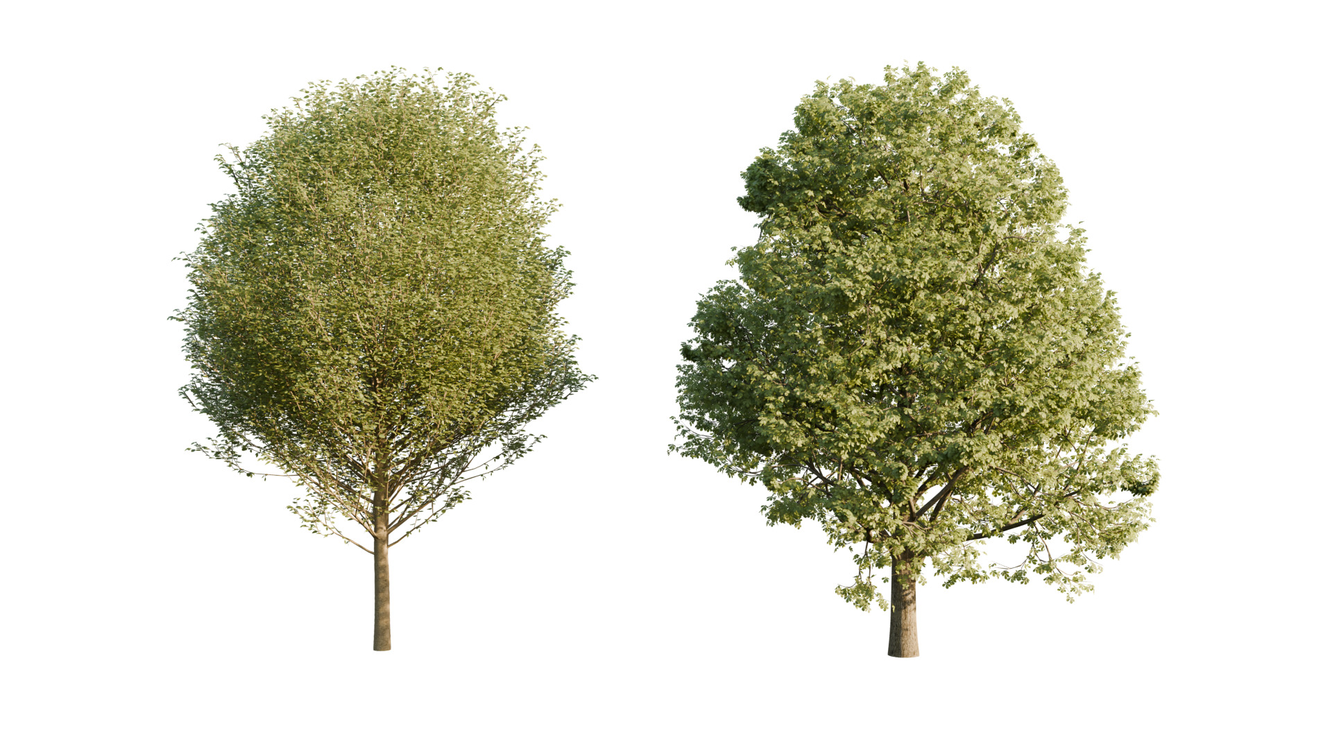 Free Tree pack free VR / AR / low-poly 3D model | CGTrader