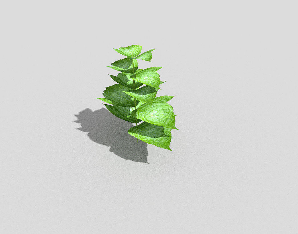 3D model Low poly Plant ivy - ivy VR / AR / low-poly | CGTrader