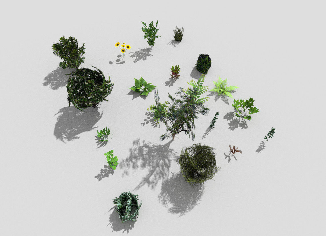 3D model low poly plants collection and trees VR / AR / low-poly | CGTrader