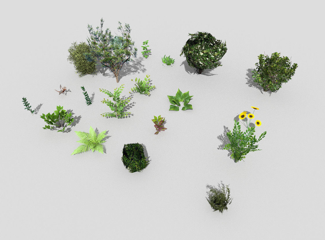 3D model low poly plants collection and trees VR / AR / low-poly | CGTrader