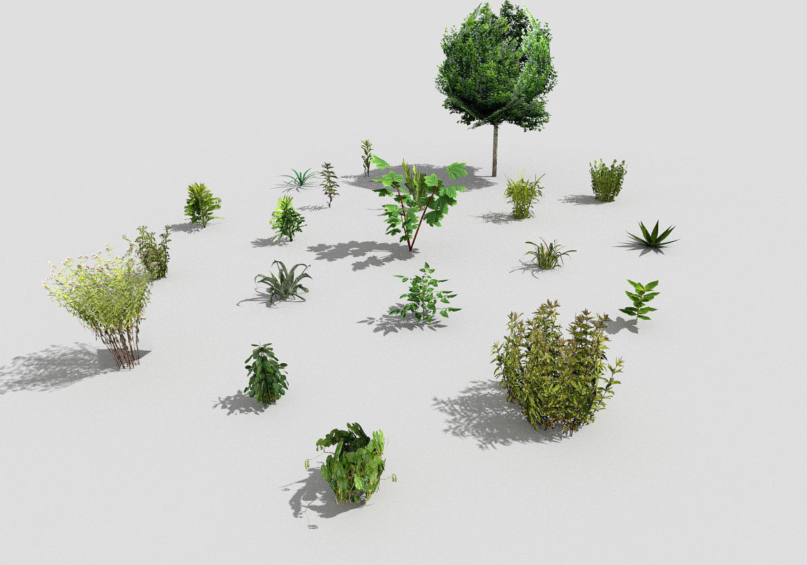 3D model low poly plants collection VR / AR / low-poly | CGTrader