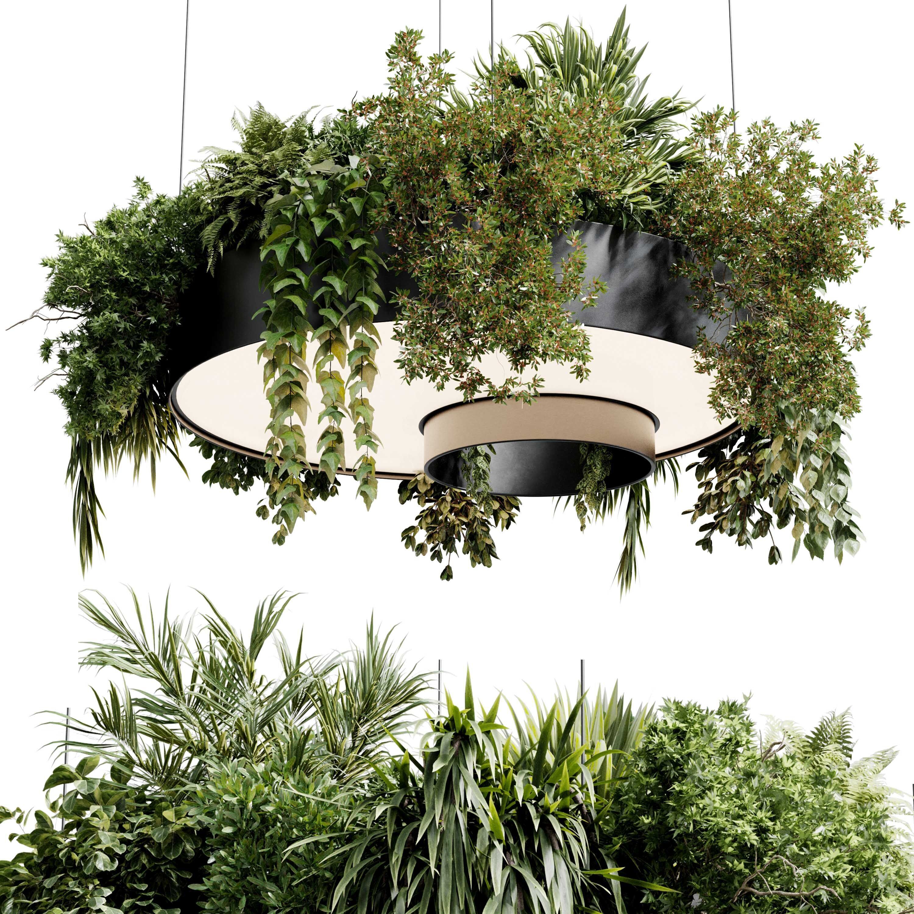circle pot light pendant - plant light hanging 23 free 3D model | CGTrader