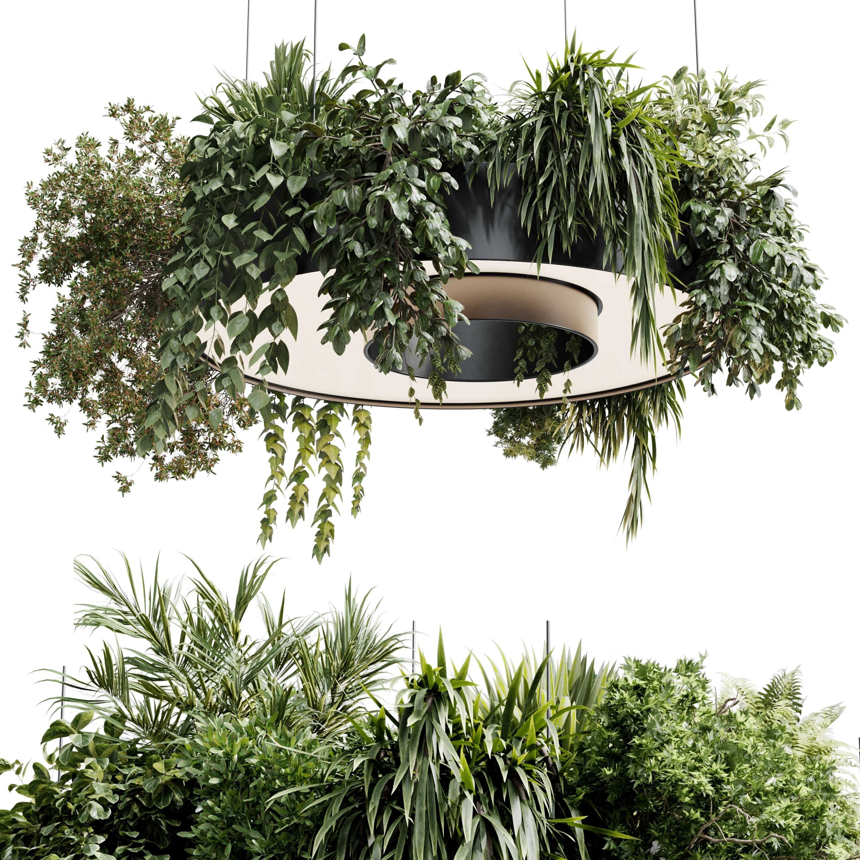 circle pot light pendant - plant light hanging 23 free 3D model | CGTrader