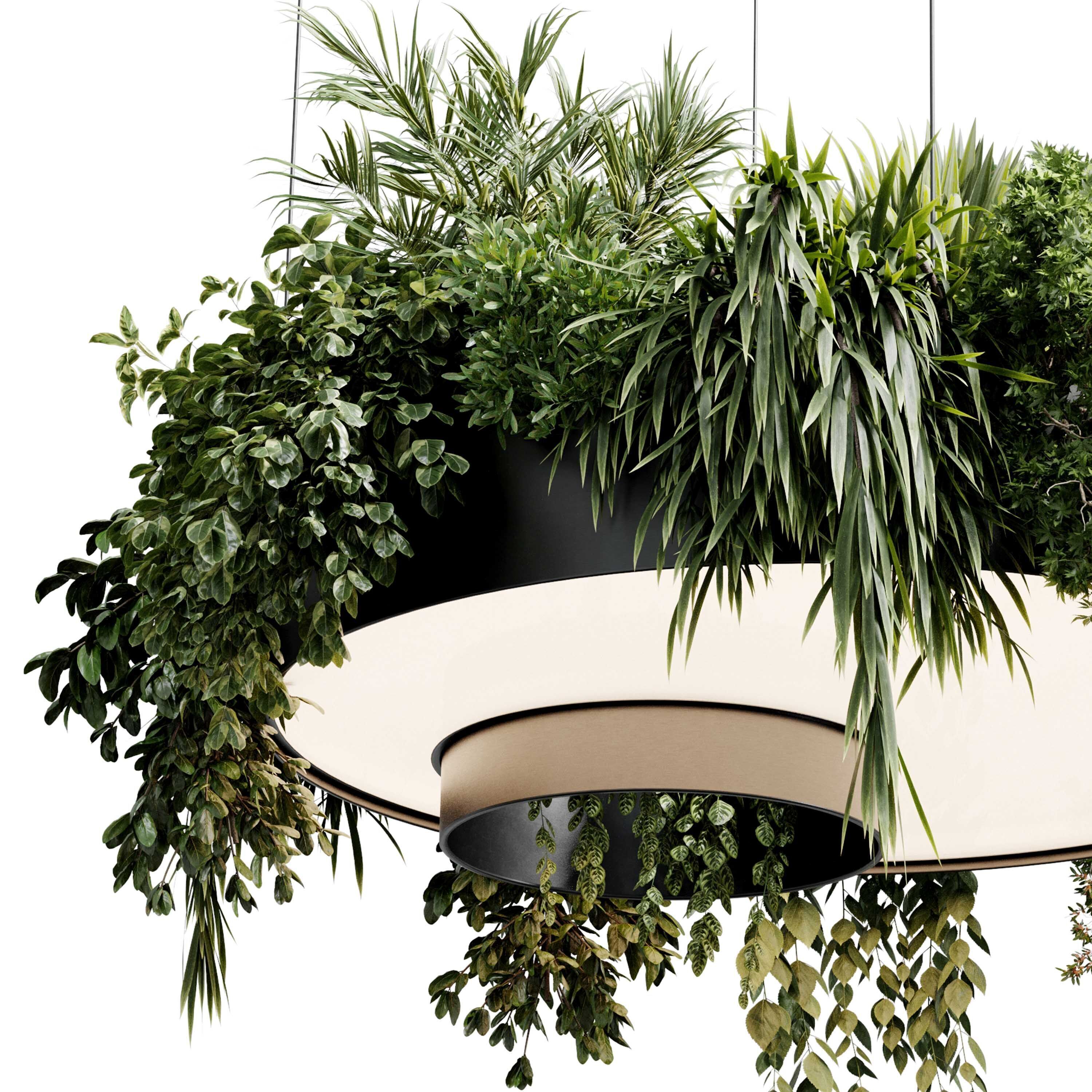 circle pot light pendant - plant light hanging 23 free 3D model | CGTrader