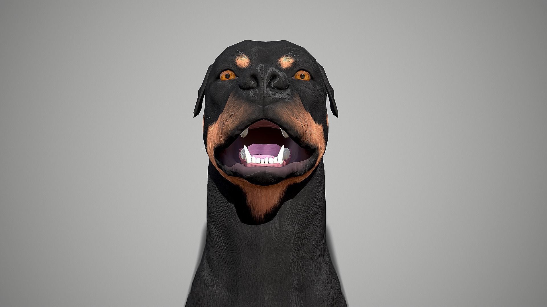 3D model Rottweiler Real-Time VR / AR / low-poly | CGTrader