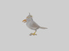 3D model Cartoon Myna VR / AR / low-poly | CGTrader