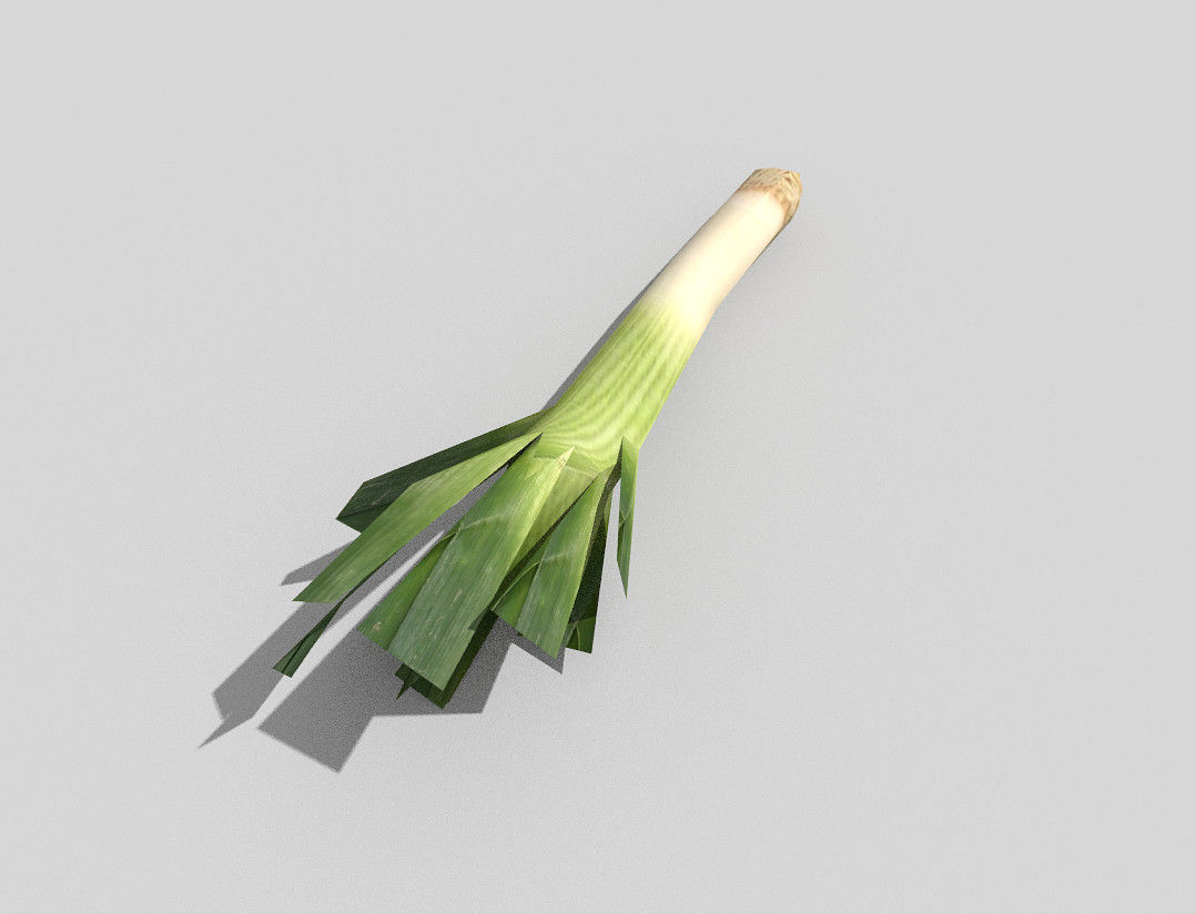 3D model low poly leek VR / AR / low-poly | CGTrader