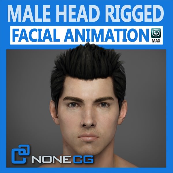 Adult Male Head Rigged 3D model rigged | CGTrader