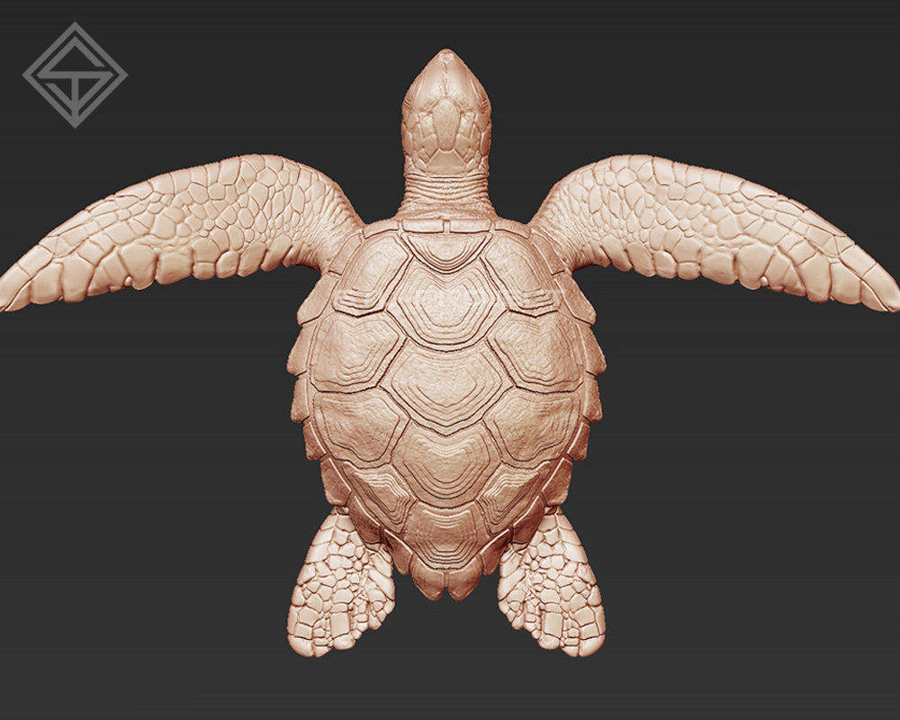 Sea Turtle 3D model 3D printable | CGTrader