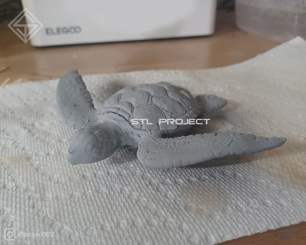 Sea Turtle 3D model 3D printable | CGTrader